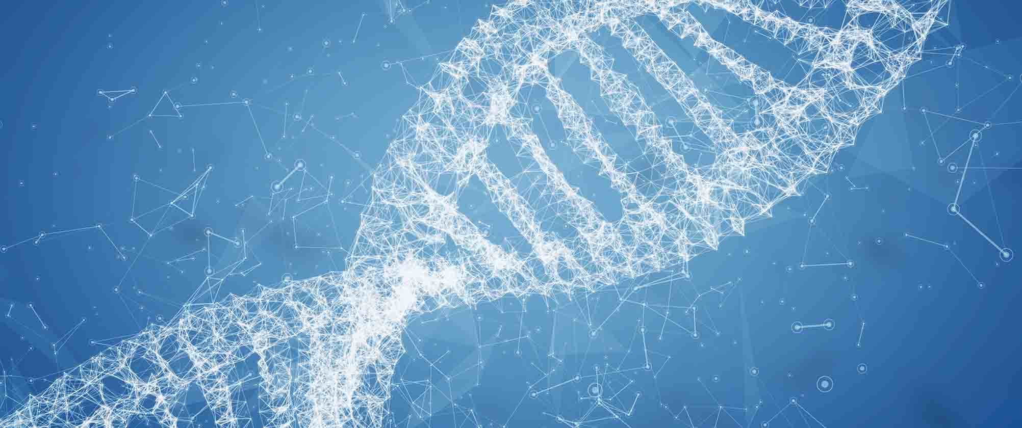 Genes, chromosomes – and God - Catholic Review