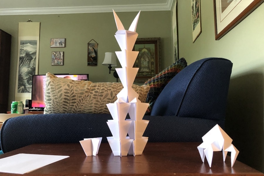 Origami creations, gearing up for virtual school, finches, and more (7 ...