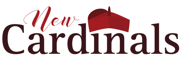 Cardinal-designate Gambetti studied engineering, then became a friar ...