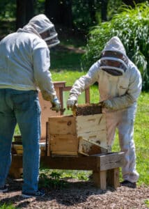 Show me the honey: All Saints Sisters of the Poor find divine touch in ...
