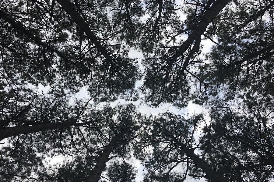 Grief and Gratitude - Catholic Review