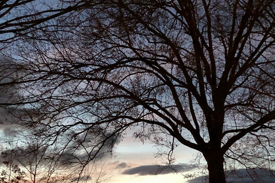 Finding our way through the darkness - Catholic Review Finding our way through the darkness - Catholic Review