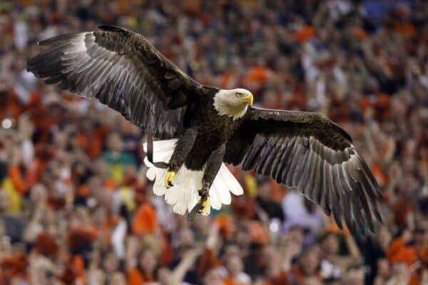 Eagles fans bring faith to the field for the Super Bowl - Catholic Review