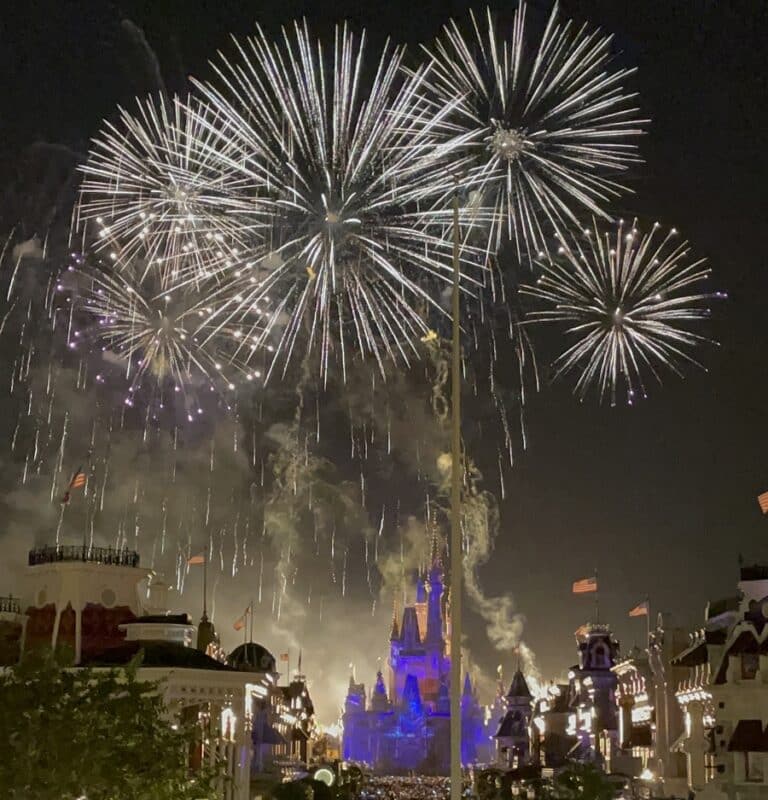 7 Lessons I Learned at Disney World - Catholic Review