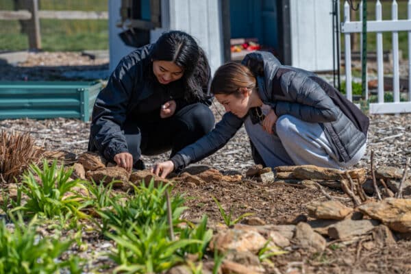 Catholic community galvanized behind First Fruits Farm - Catholic Review