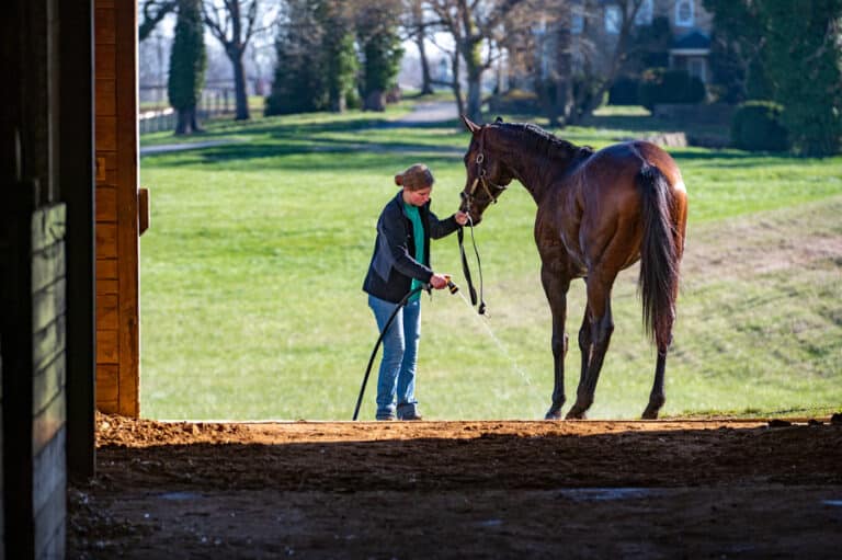 Preakness memories: Deputed Testamony boosted Catholic family’s racing ...