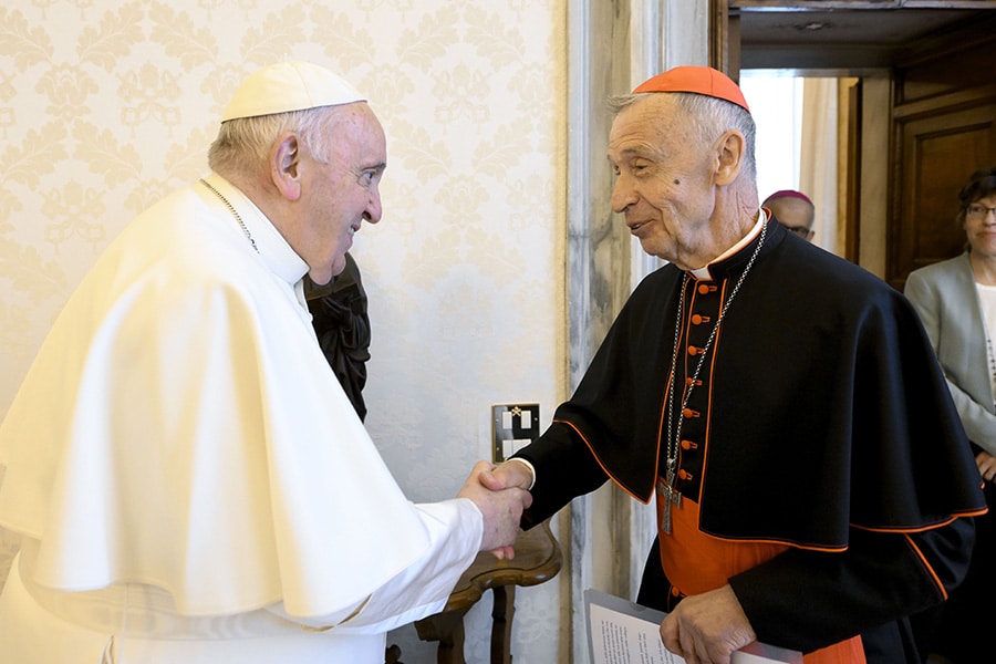 Suffering is a reality to explore, not ignore, pope says - Catholic Review