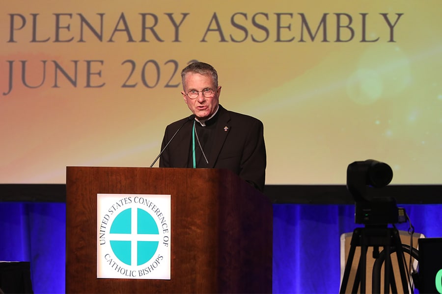 U.S. bishops advance pastoral initiatives to strengthen church amid ...
