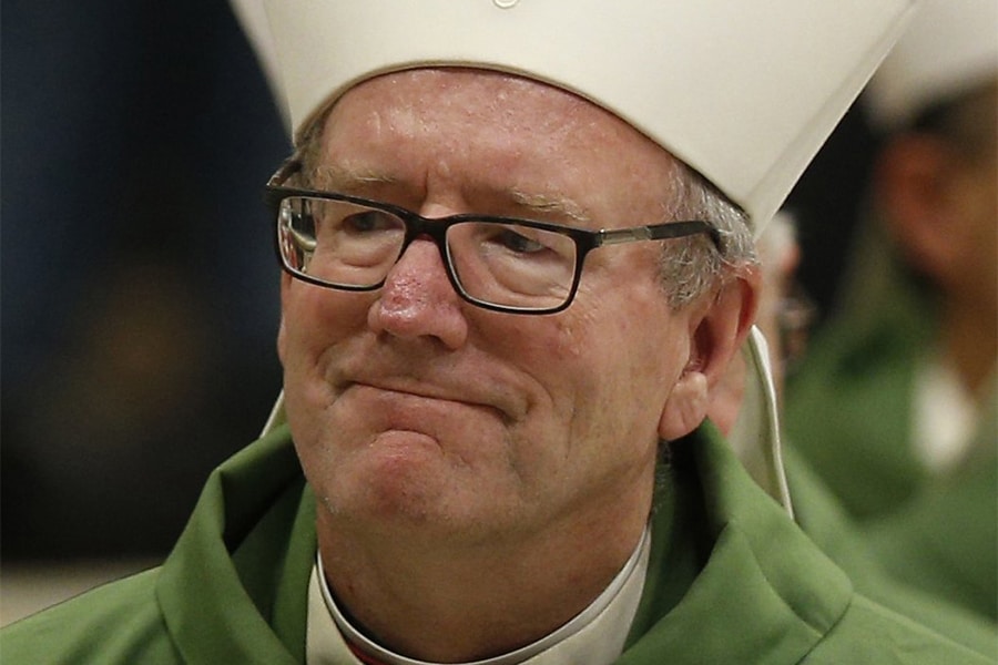USCCB's Bishop Barron joins pope in calling 'surrogate motherhood' a grave injustice - Catholic ...