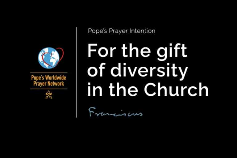 Pope: Diversity in the church must be embraced, not feared - Catholic ...