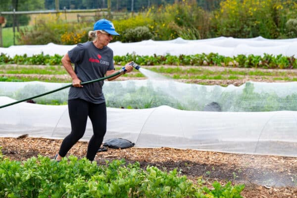 Little Portion Farm provides fresh produce and more - Catholic Review
