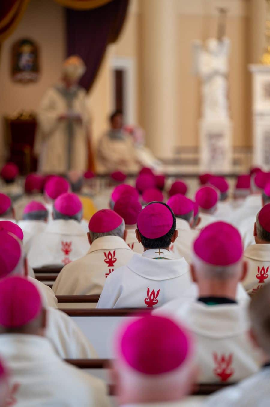 Bishops urged to beg for wisdom as USCCB meeting begins in Baltimore ...