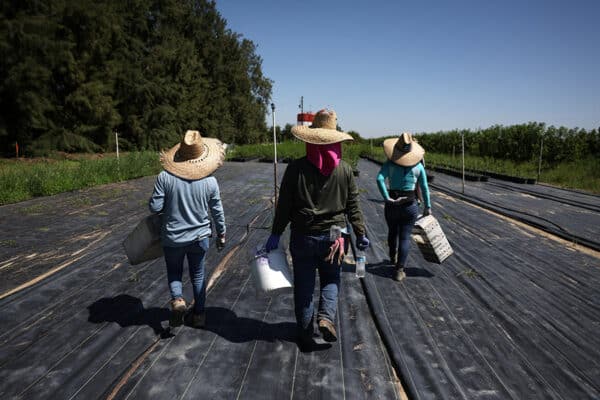 Senate passes Trump's 'Big Beautiful Bill'; measure heads to House ...