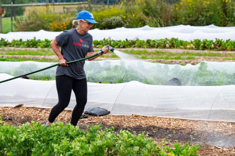 Radio Interview: Little Portion Farm cares for hungry and creation ...